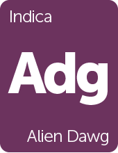 5 Indica Cannabis Strains for Sativa Fans | Leafly