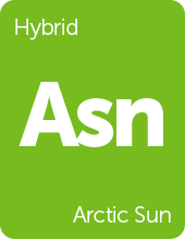 New Strains Alert: White Smurf, Arctic Sun, Titan's Haze, God's Bubba ...