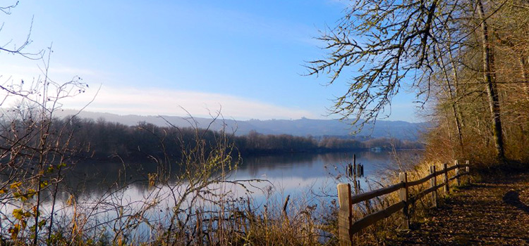 Portland in the Fall: 8 Must-See Spots in the Rose City This Season ...